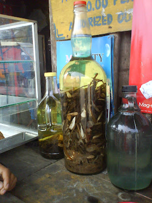 PIDJANGA of Mainit, Surigao Norte: Albutra, GR, Ginamos