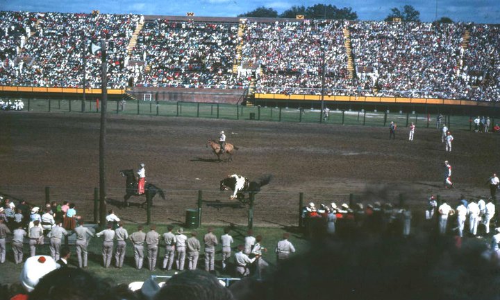 The Old Sugar Land Club House: Robert Brandon's Photos of Prison Rodeo ...