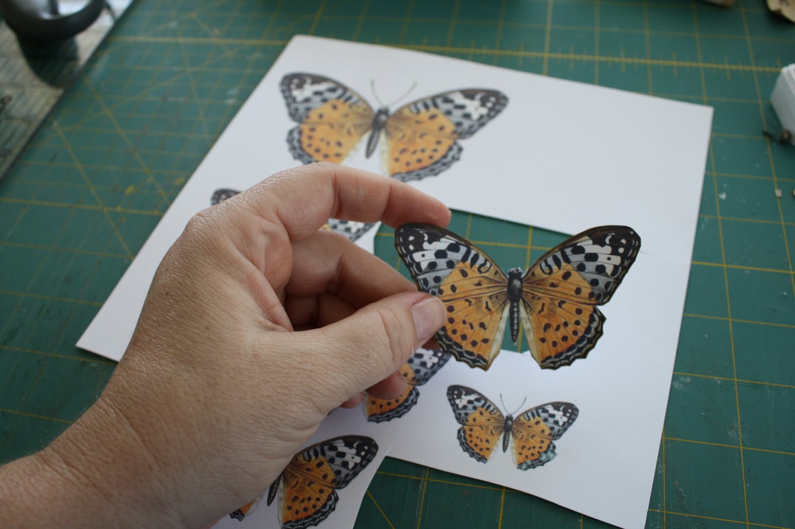 One Lucky Day: Butterfly Box