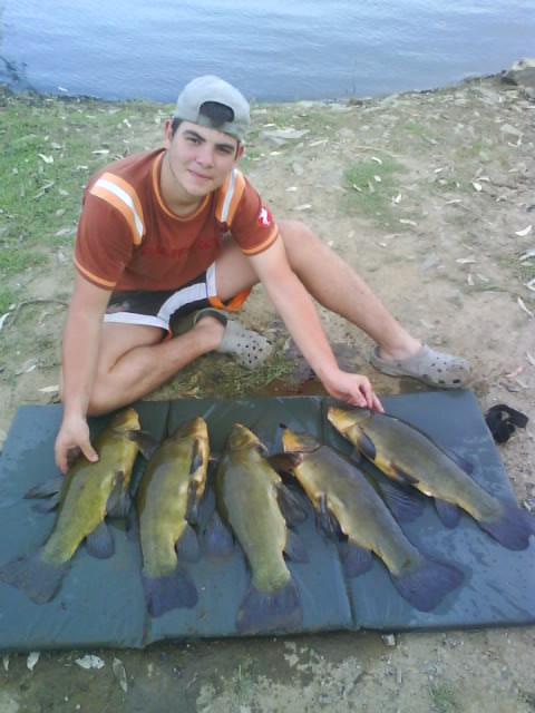 SOCIEDAD DE PESCA SIBERIA LARES: FINDE "DE" TENCAS