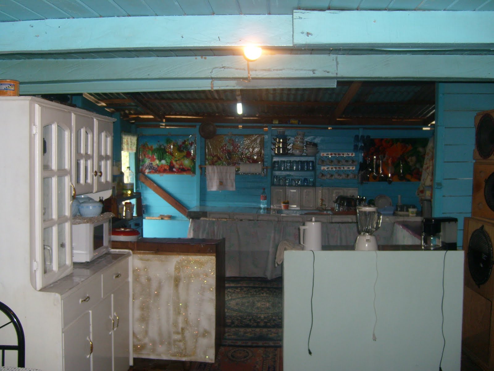 Your Italian Grandma: Guyana's Indian/Caribbean cuisine