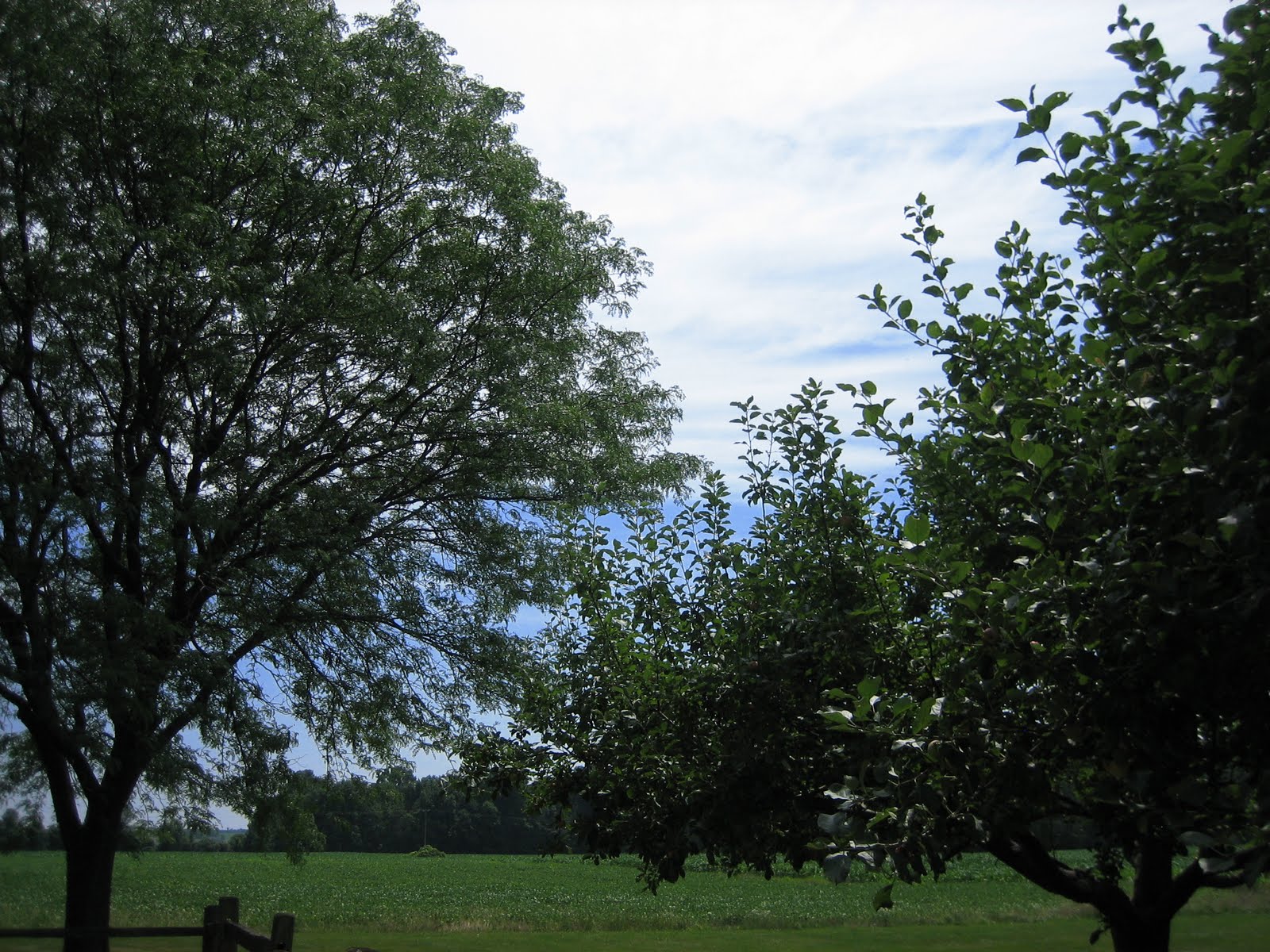 Martha's Marvelous Memoirs: Peter Whitmer Home and Farm