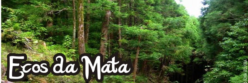 Ecos da Mata