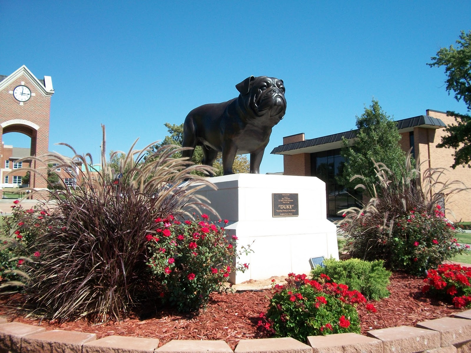 Cats, Kids and Crafts: SWOSU