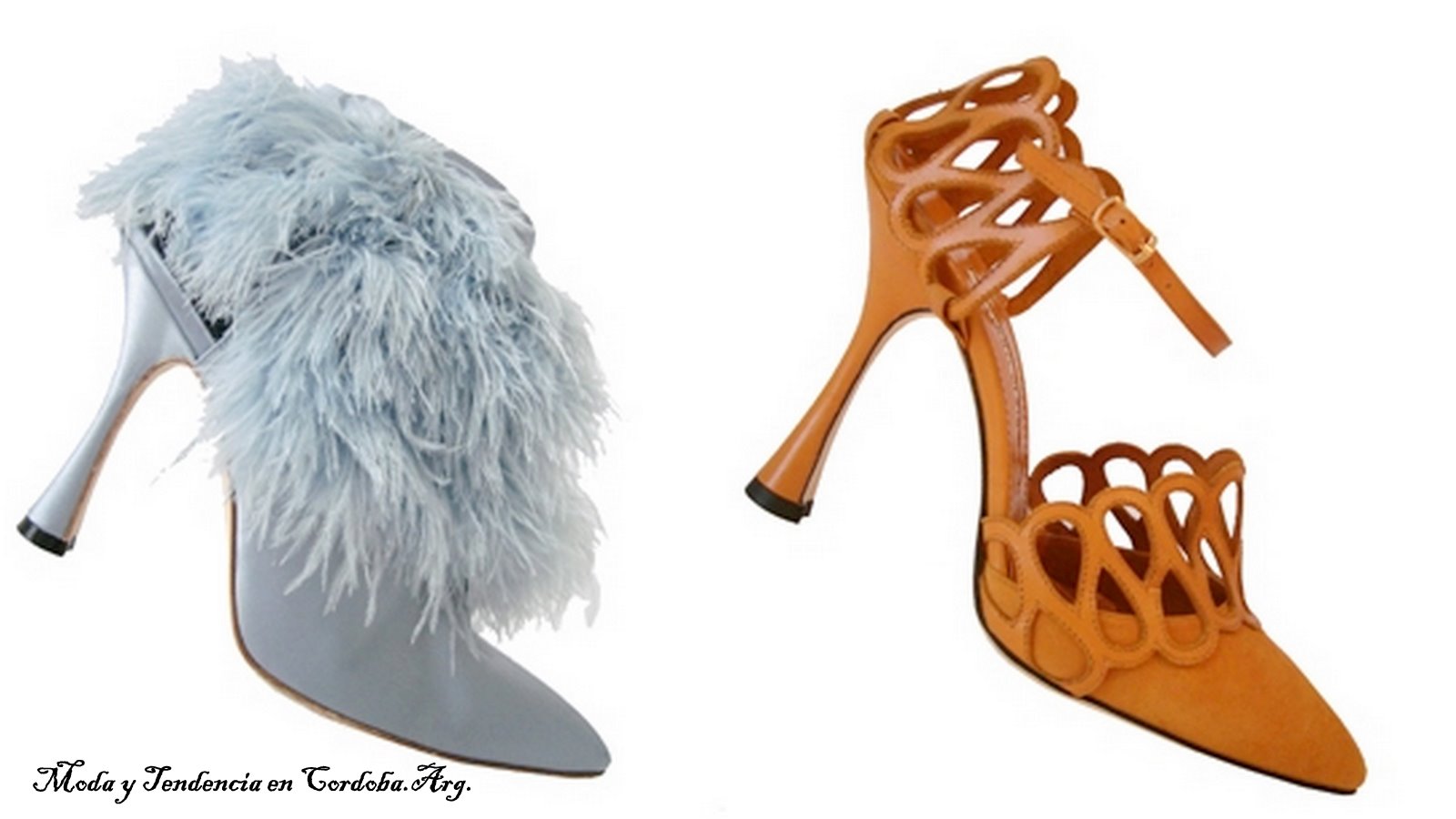 Moda y Tendencia.Zapatos de divas:Manolo Blahnik