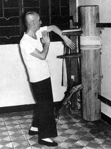 HKB Wing Chun Roma: Yip Kai Man - 葉繼問