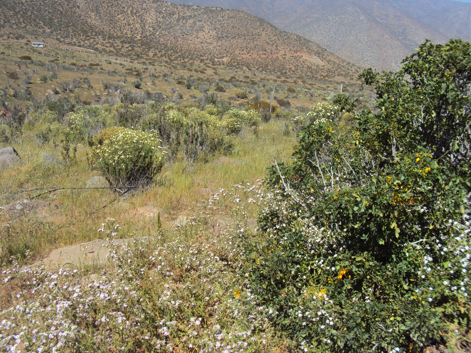 Quebrada Honda, un lugar en la geografía y en nuestro corazón.