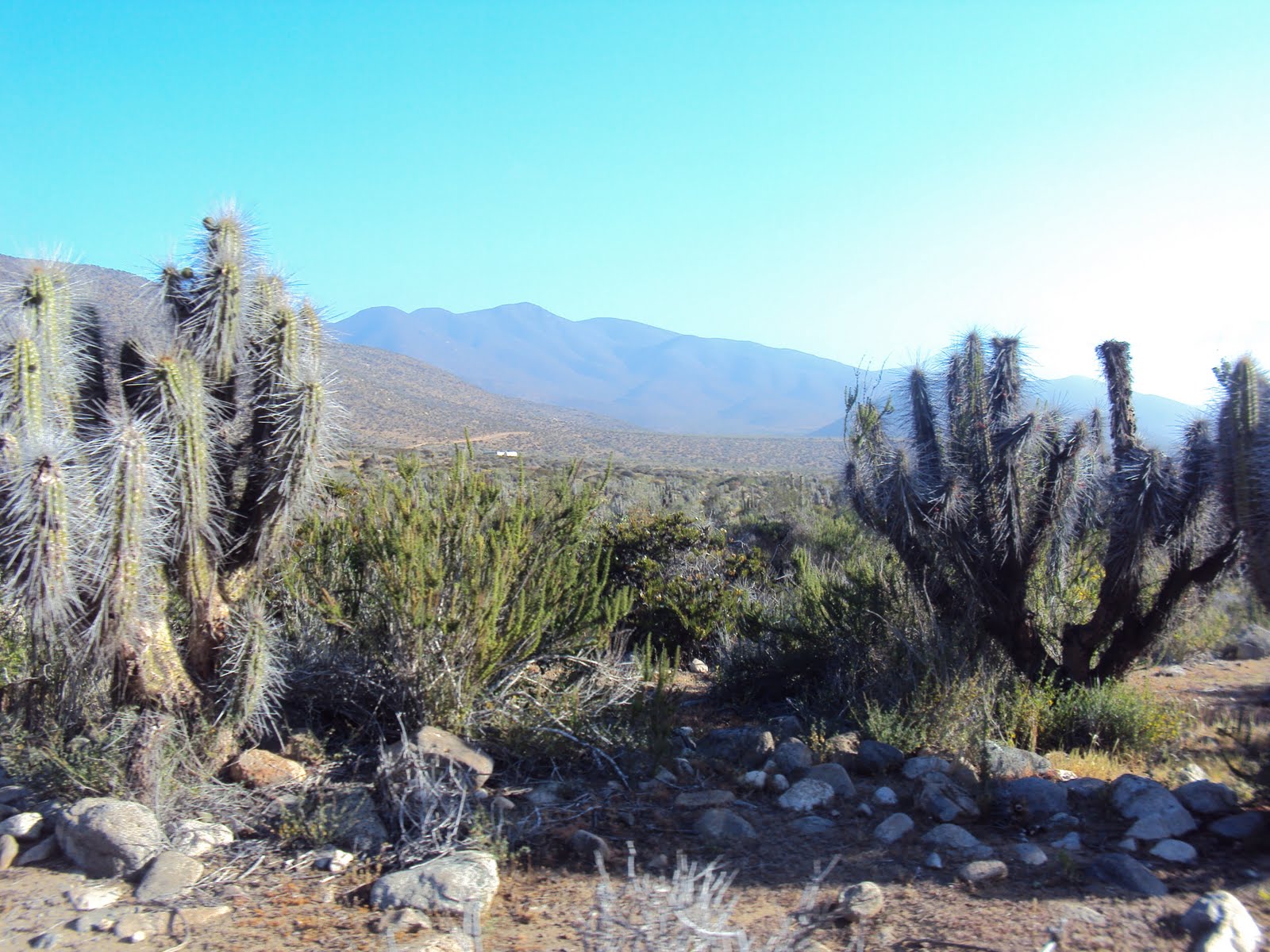 Quebrada Honda, un lugar en la geografía y en nuestro corazón.