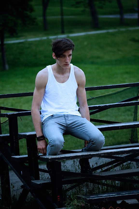 The Model Radar: Introducing Vincent