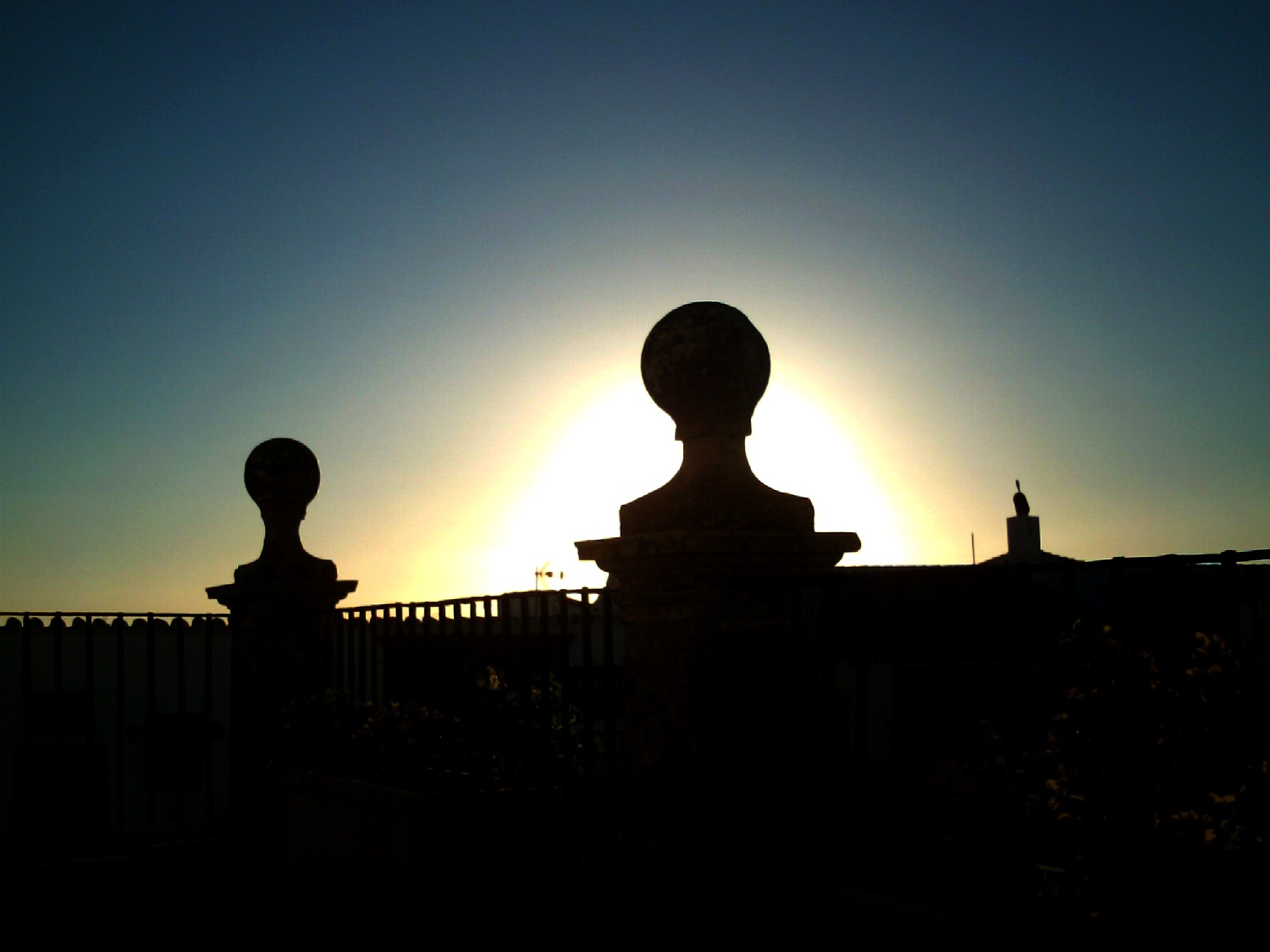 No dejes para mañana lo que puedas hacer hoy: Foto a contraluz