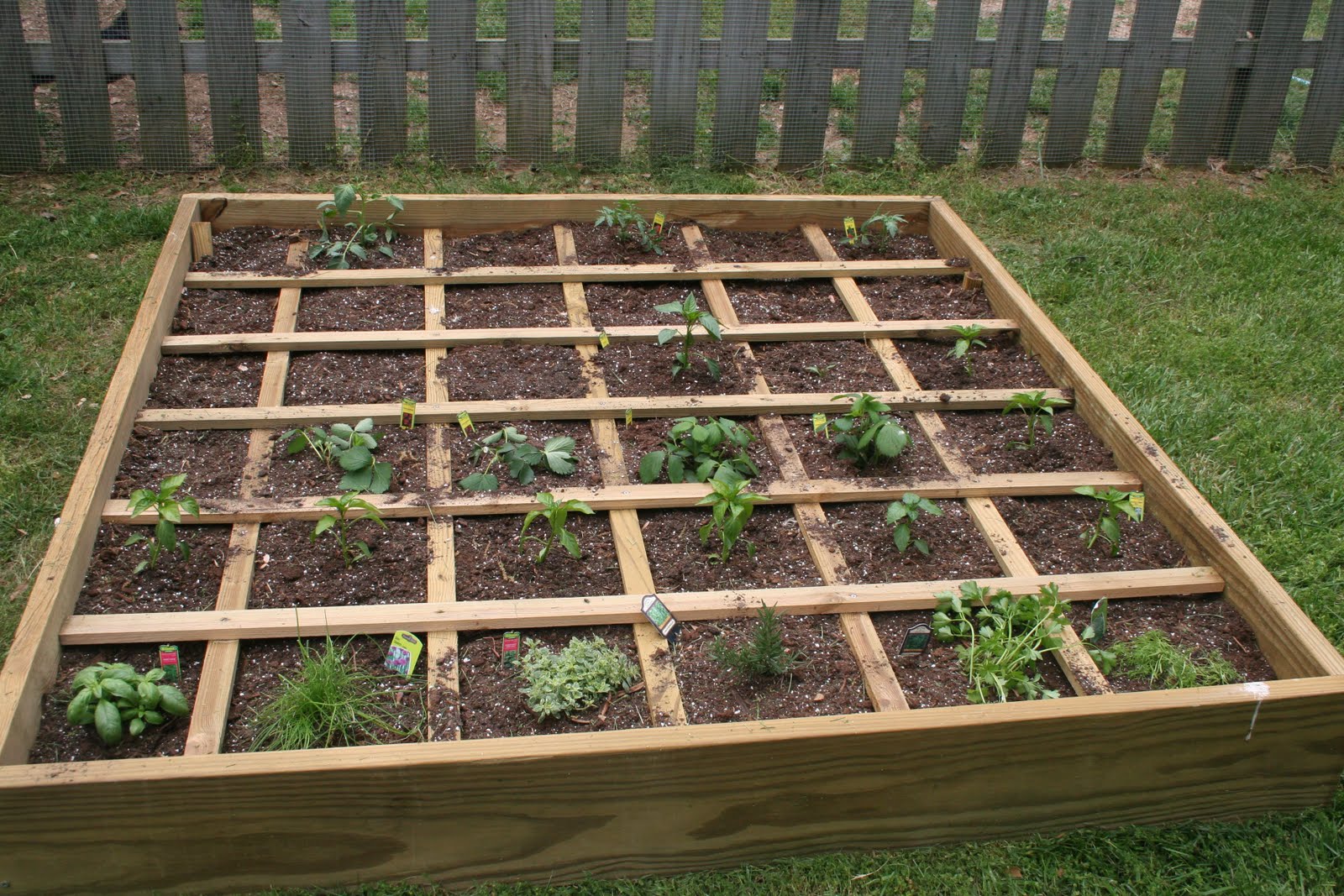 Persnickety Peacock: Square Foot Gardening