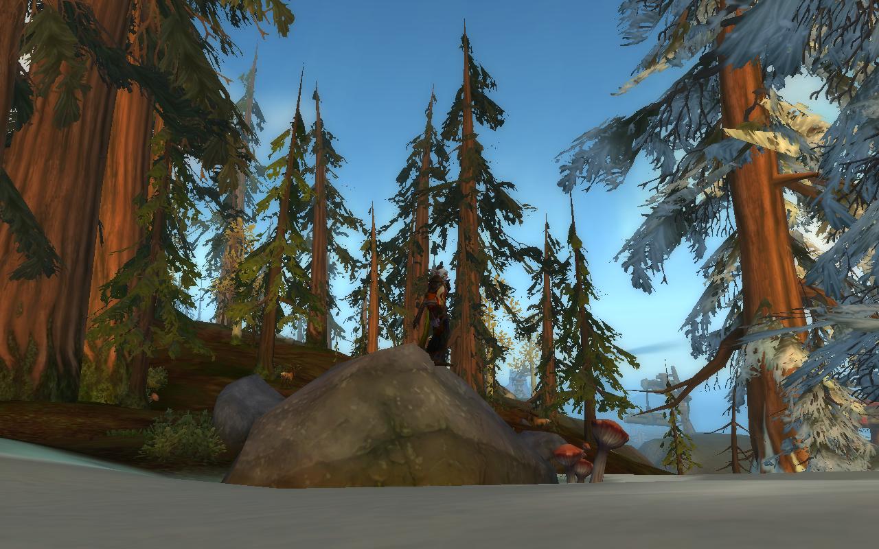 WoW Screenshots: Dragonblight: South snapshots