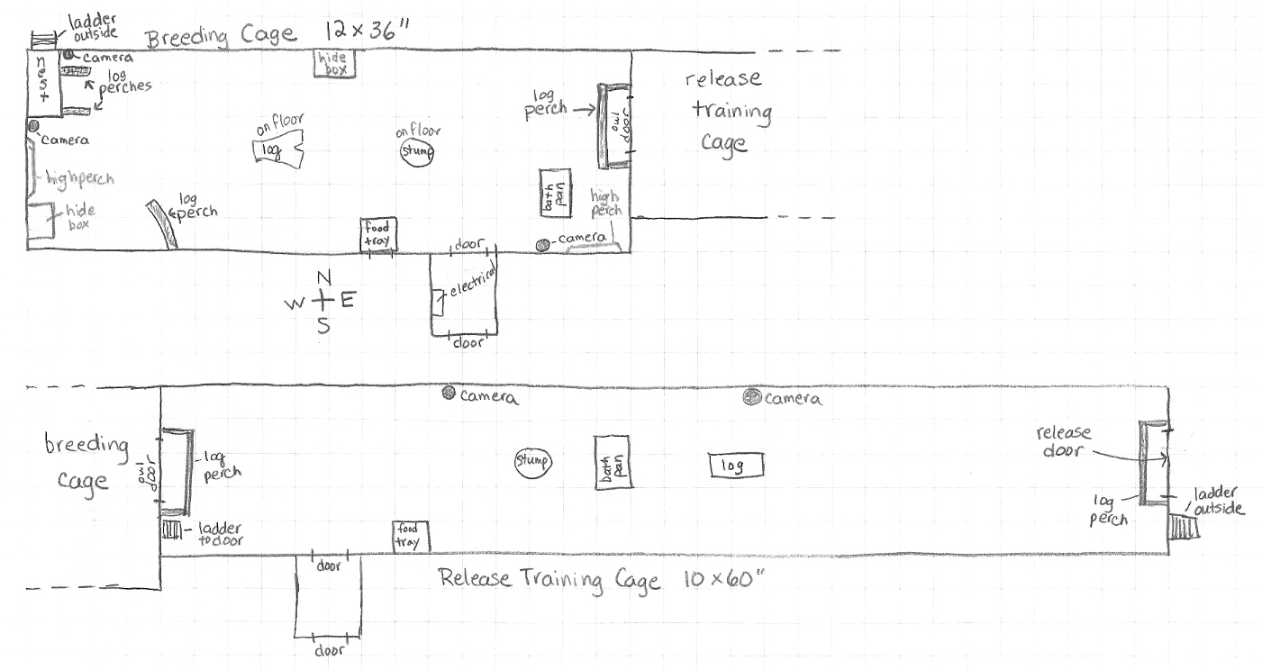 Alice, Rusty, Iris and the International Owl Center Blog: Updated Cage ...