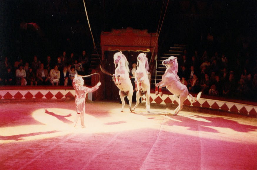A friend of the Circus: The Amadeo Folco Family, Blackpool Tower Circus ...