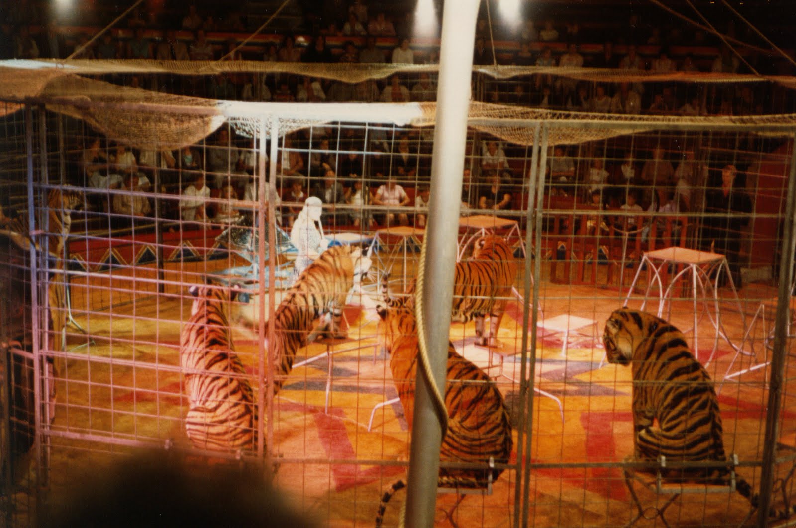 A friend of the Circus: Mary Chipperfield, Peter Jays' Hippodrome ...