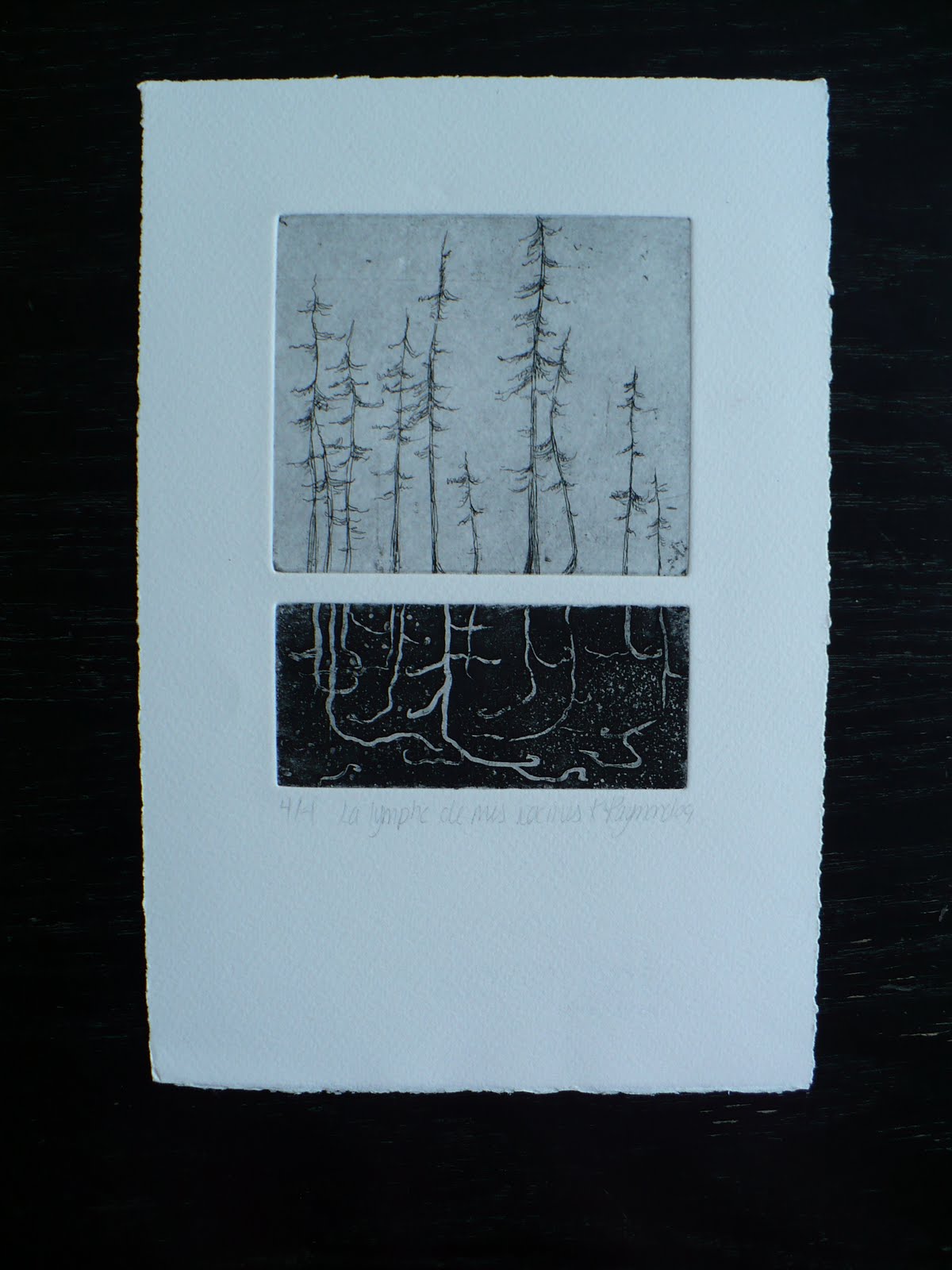 Katherine Raymond | Artiste: Oeuvres (2008-2012)