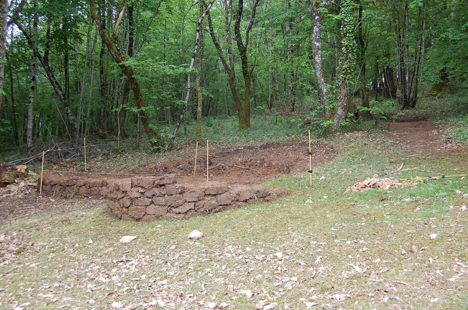 The (d)evolutionary: May 2010