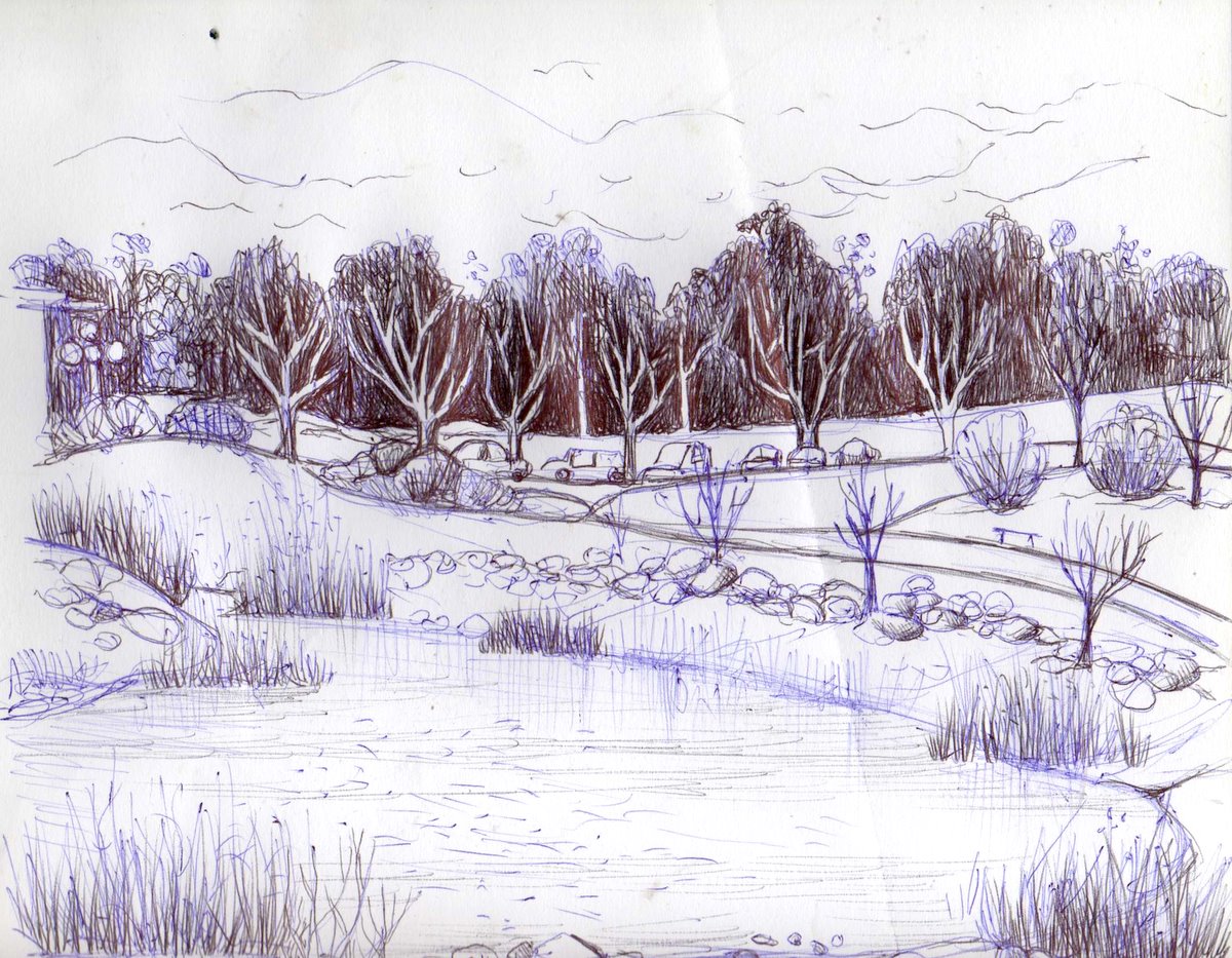 Geelong Visual Diary: Drawing of rocks, reeds, water