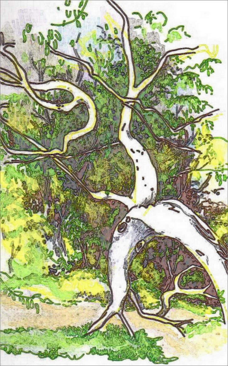 Geelong Visual Diary: September 2010