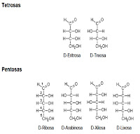 Elementos Biogenésicos