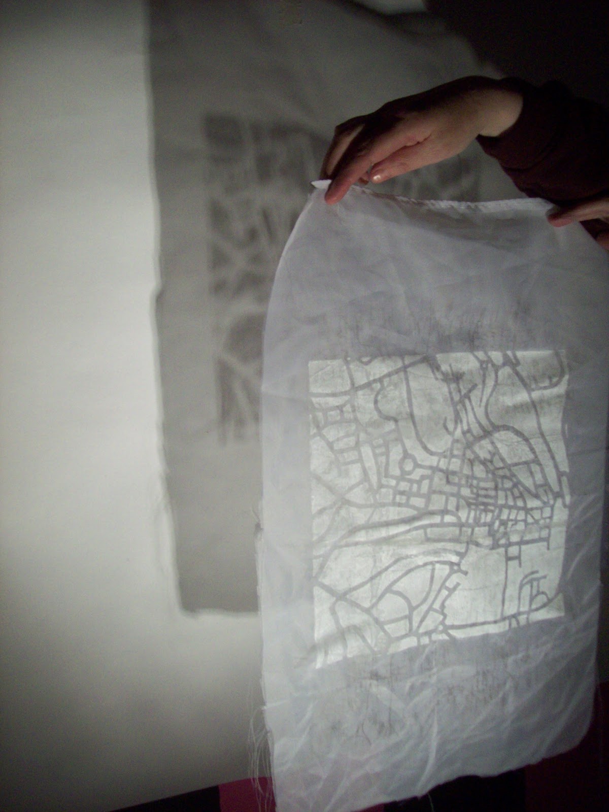 MAISIE DANIELS: Shadows From Printed Fabric