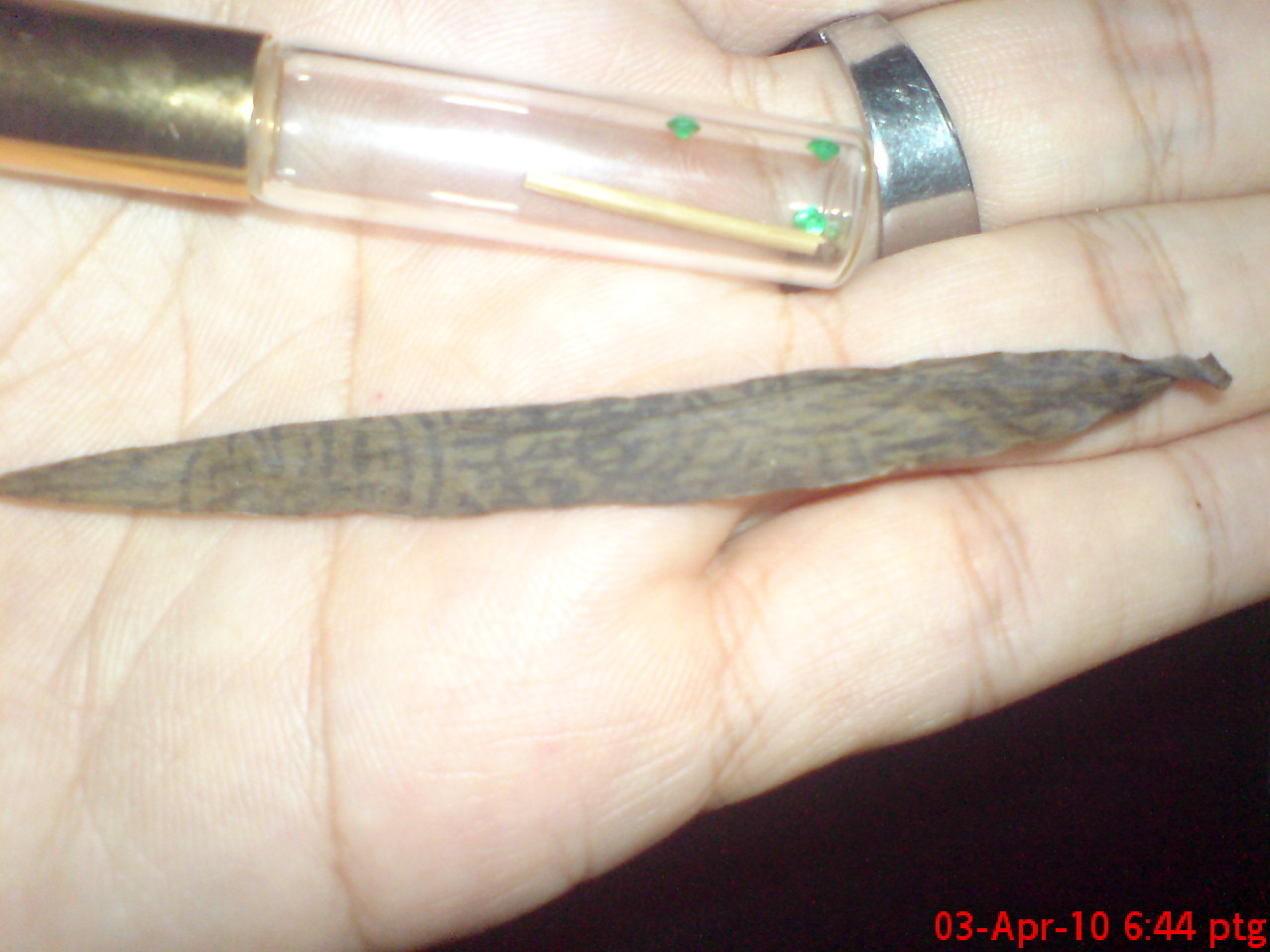 perubatan,mistik, antik, kebudayaan dan sejarah: buluh perindu dan daun ...