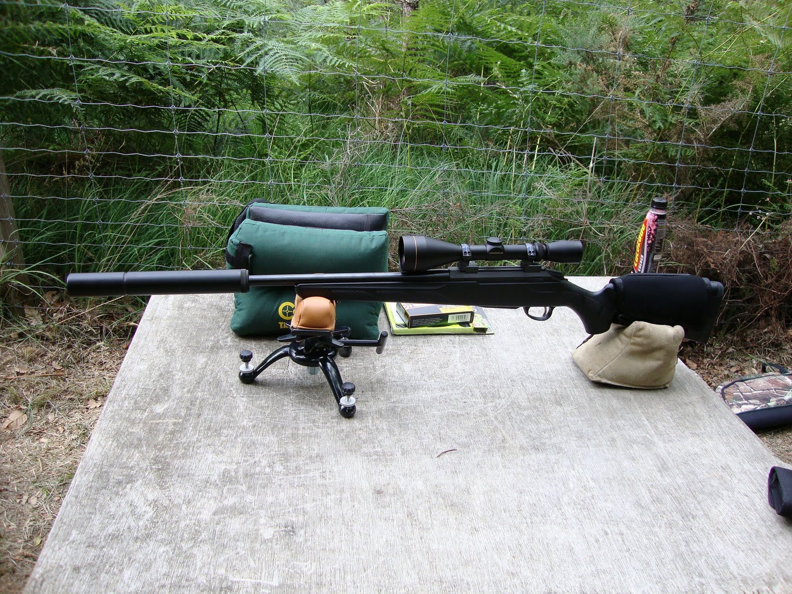 Red Eye Fox: Tika T3 Lite 308