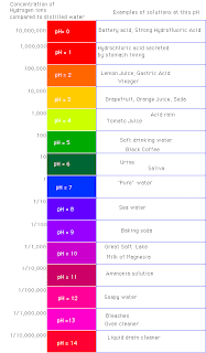 Bio Blog Spot: PH scale, acids, and basics.