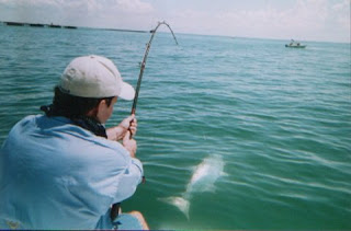 From the Poling Platform