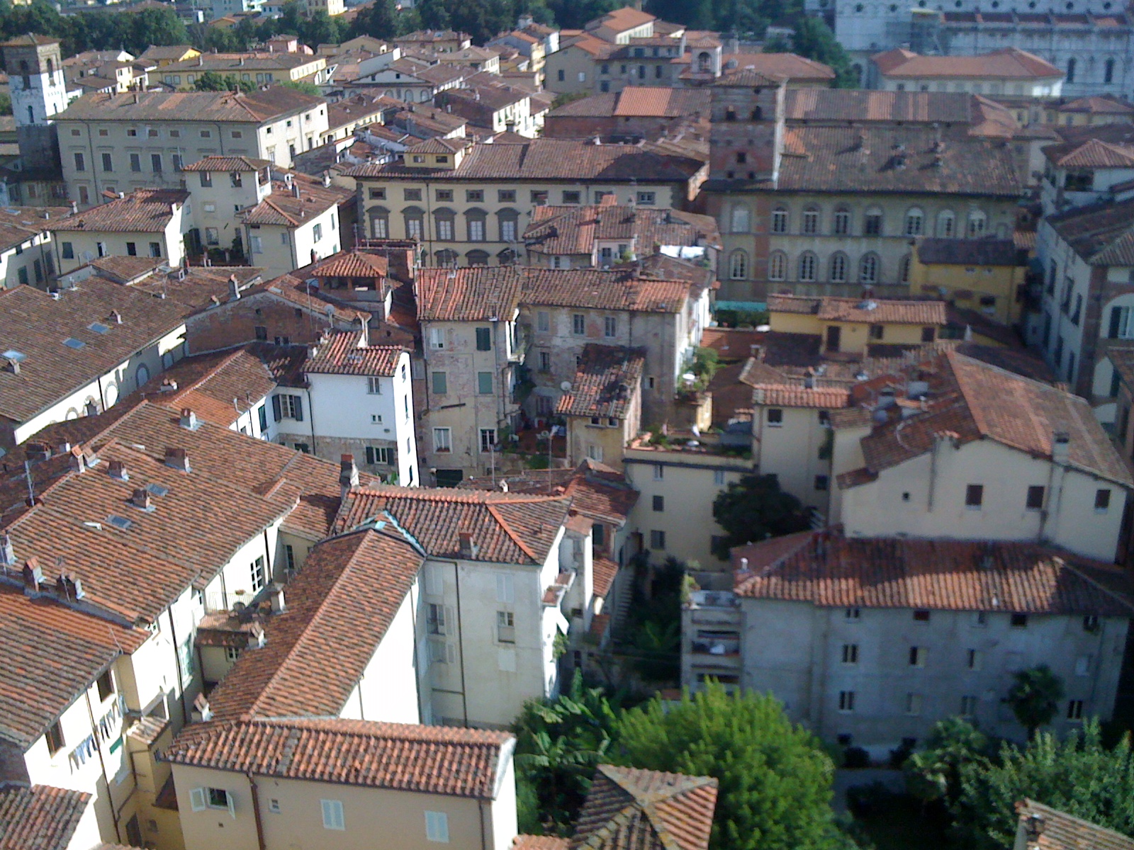 Uno scorcio di Lucca (dall'alto) Once Upon a Time..