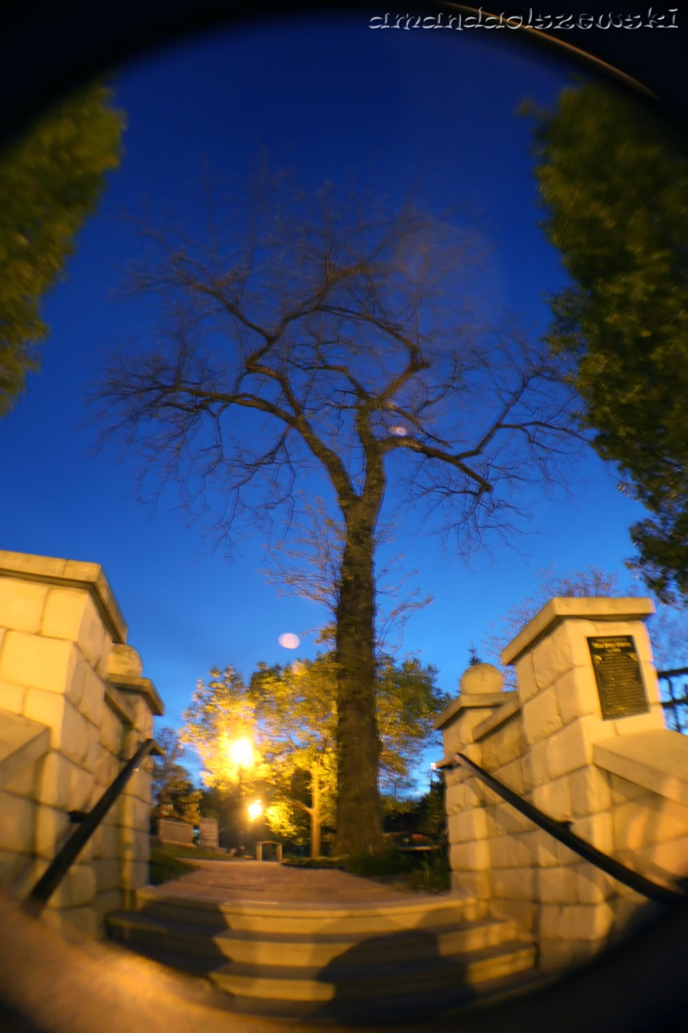 Amanda Olszewski ::: Photography Enthusiast: downtown Downers Grove