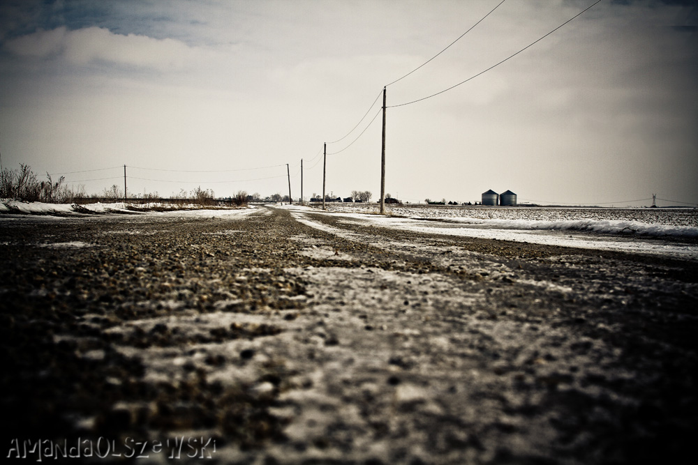 Amanda Olszewski ::: Photography Enthusiast