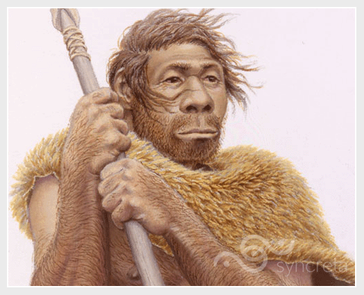 La Prehistoria: homo habilis
