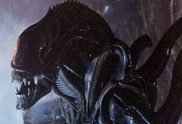 Chestburster Predalien