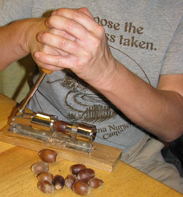 earth home garden: December 2007