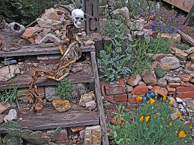 earth home garden: June 2009