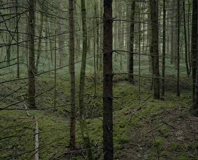 the articles: Zone-Rouge