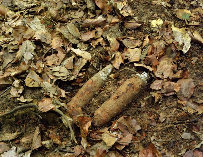 the articles: Zone-Rouge