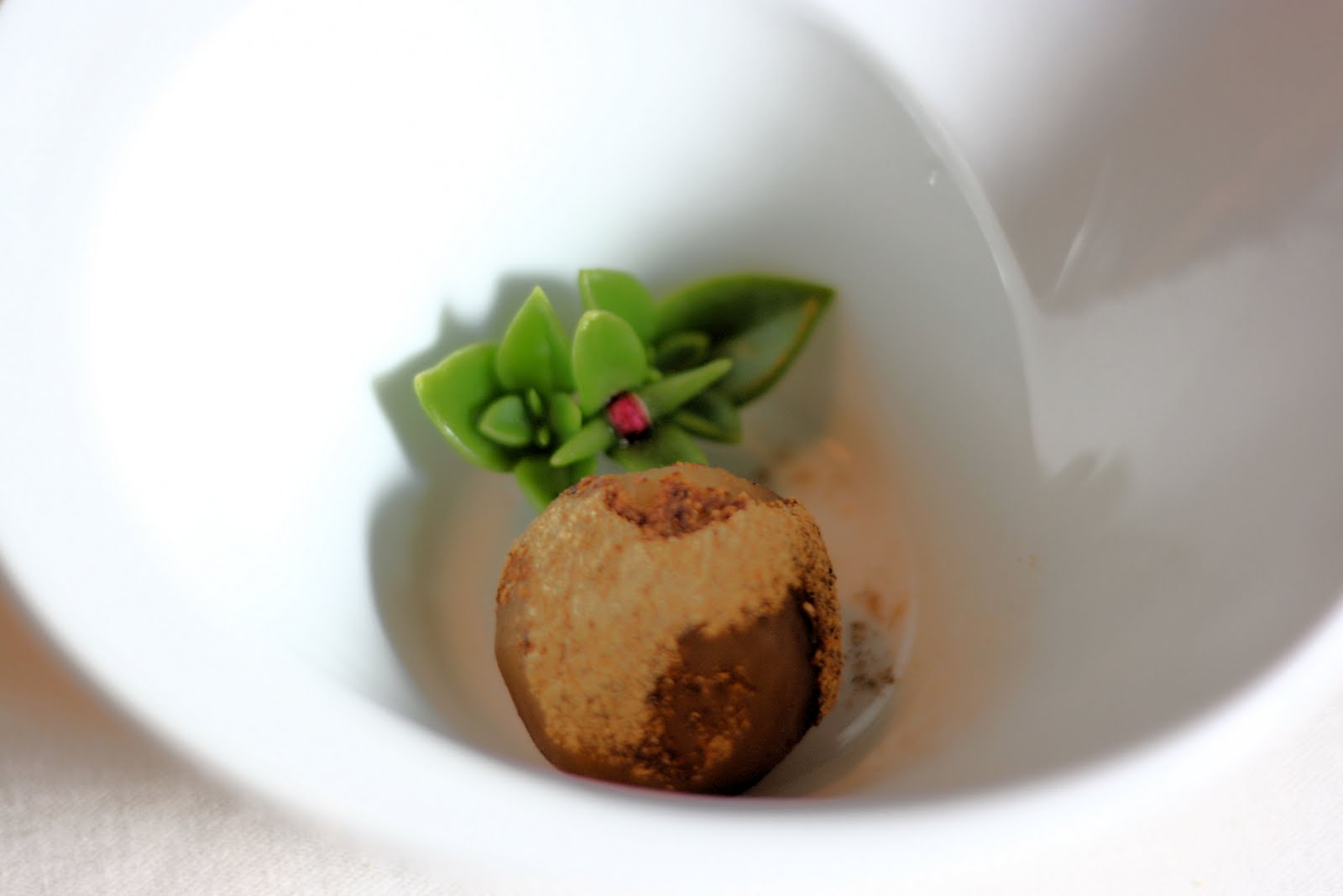 El Todo es mucho más que la suma de sus partes: MUGARITZ, algo más que ...