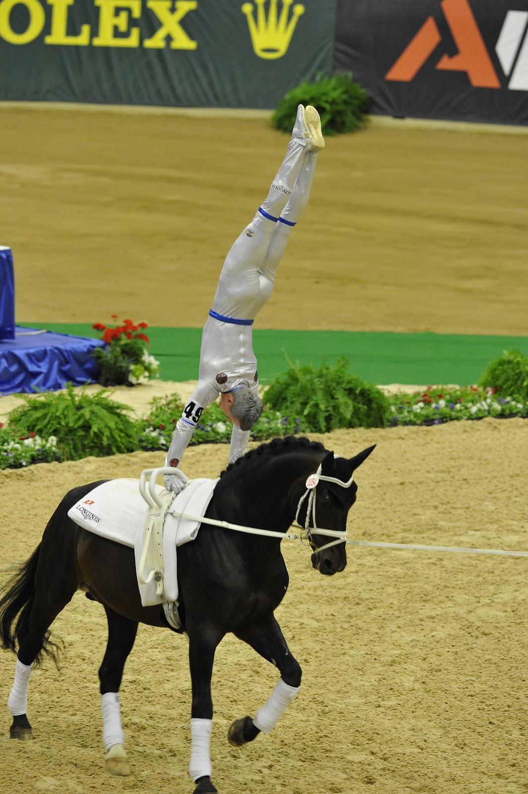 WEG Central: WEG Vaulting: WIEGELE AND LOOSER HEAD VAULTING RANKINGS ...