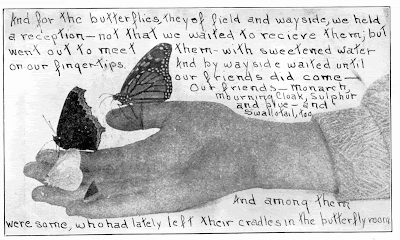 Opal Whiteley and the Singing Creek Where the Willows Grow