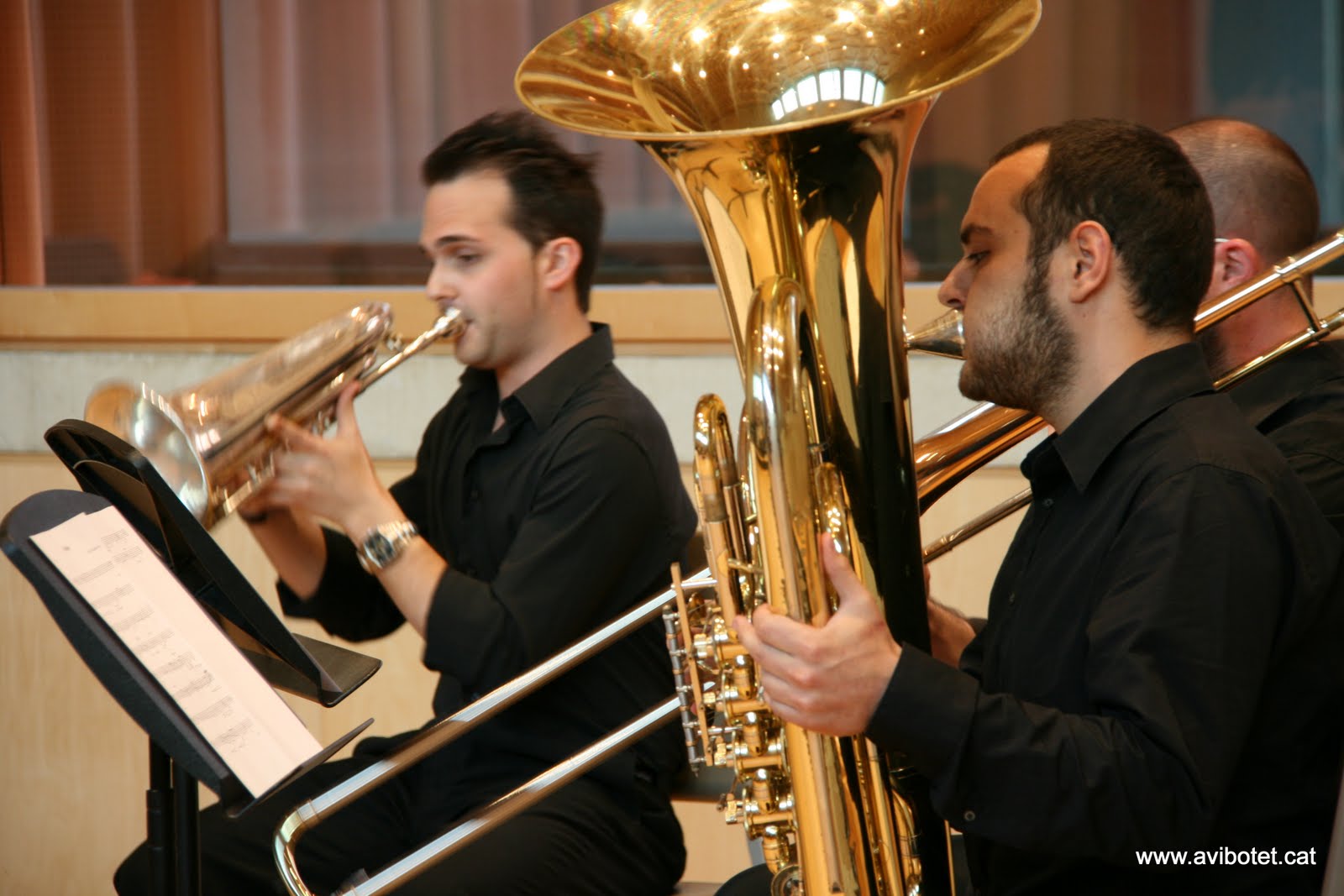 avibotet.cat: FISCORNADES