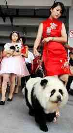 Hoinar pe web: iulie 2010