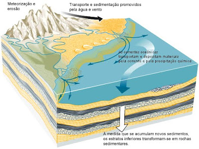 Biologia e Geologia 11: Formação das rochas sedimentares