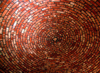 Inspired by Natural Forms: Observation - Photography