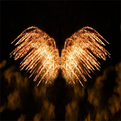 Painting with Light/The Artwork of Terry Long: Golden Wings.