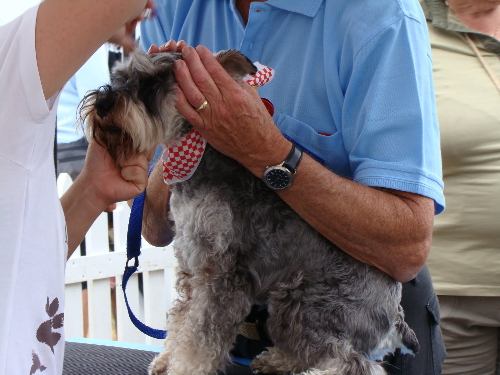 BODIE & MRS MAGOO: BARK IN THE PARK