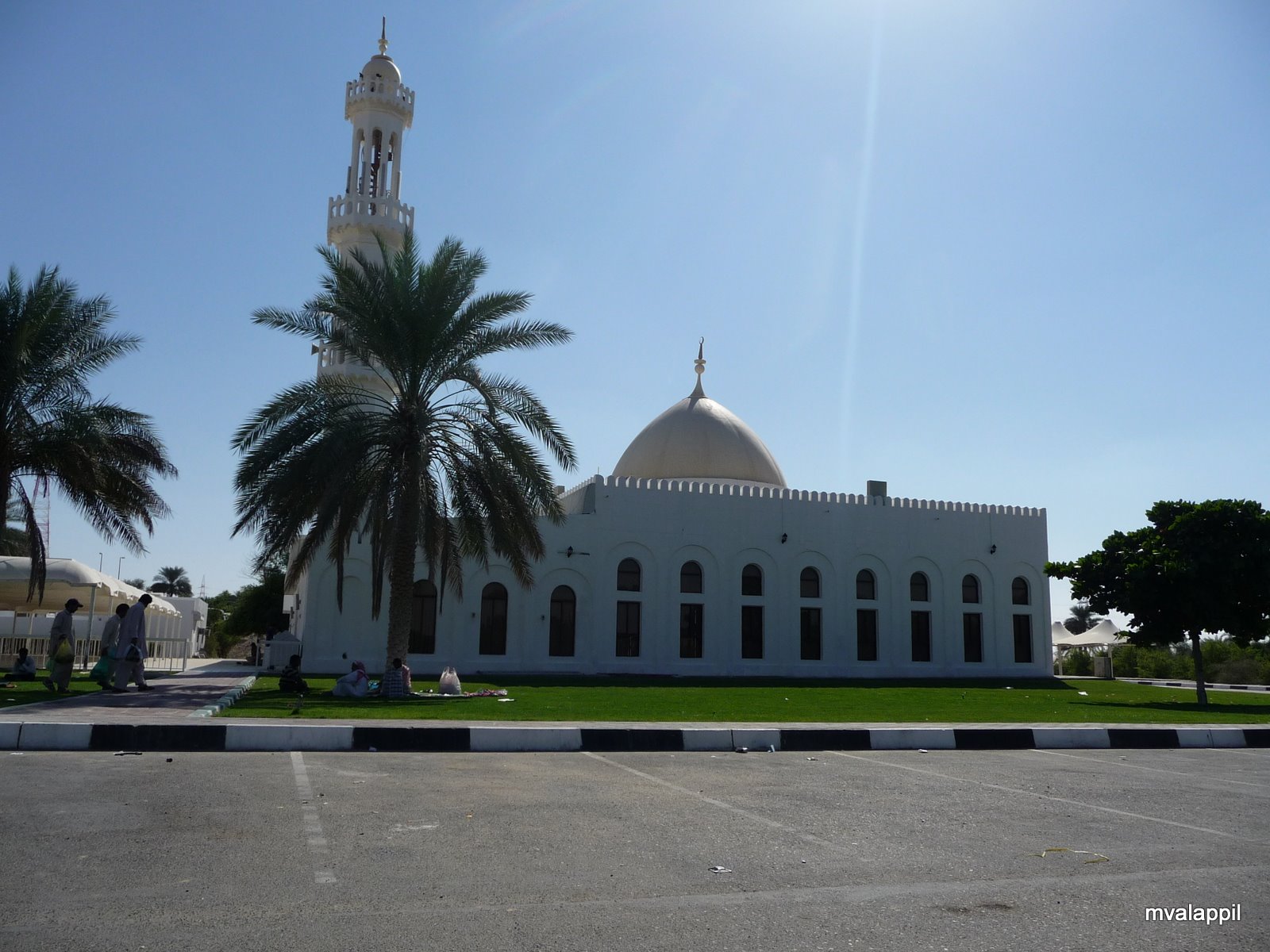 Many Dreams, Not Just One: A trip to Liwa, Abu Dhabi