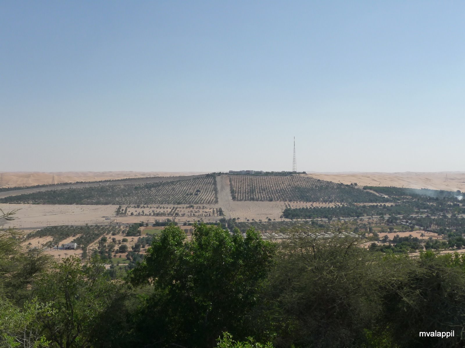 Many Dreams, Not Just One: A trip to Liwa, Abu Dhabi