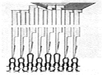 Fabric Club Of BD: Flat Bed Knitting Machine